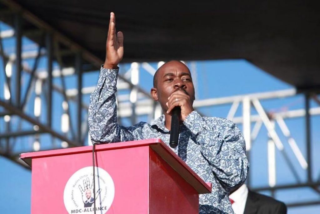 Chamisa Declares Every Vote Matters as MDC Celebrates 22nd Anniversary ...